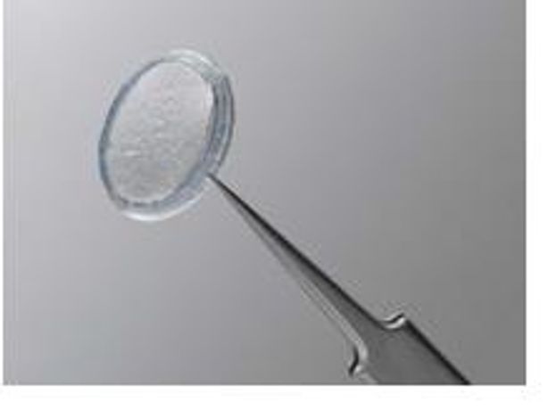 Prokera - Biologic Corneal Bandage Devices By Bio-Tissue, Inc.