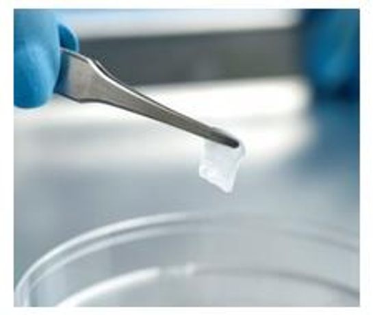 Amnioguard Umbilical Cord Graft Tissue