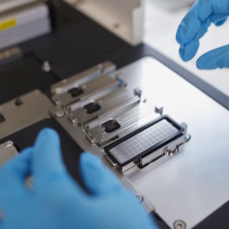 Bio-Me - PMP - Precision Microbiome Profiling Technology By ...