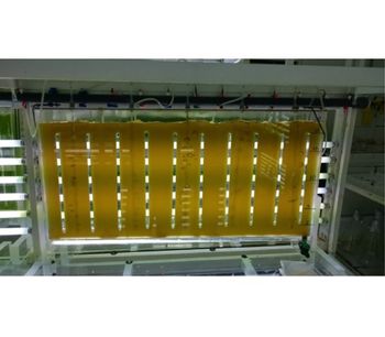 Microphykos - Tailor-Made Intensive Culturing System For Microalgae By ...