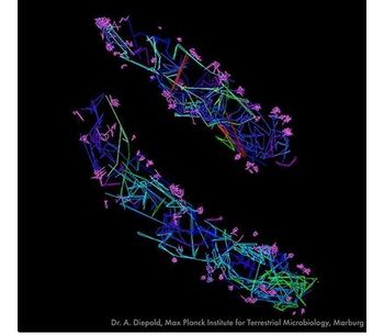 ONI - PALM - Super Resolution Microscopy - Super-Resolution ...