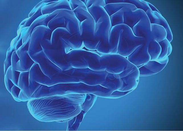 Monteris - Neuroblate System - Trutemp Technology - Laser ...