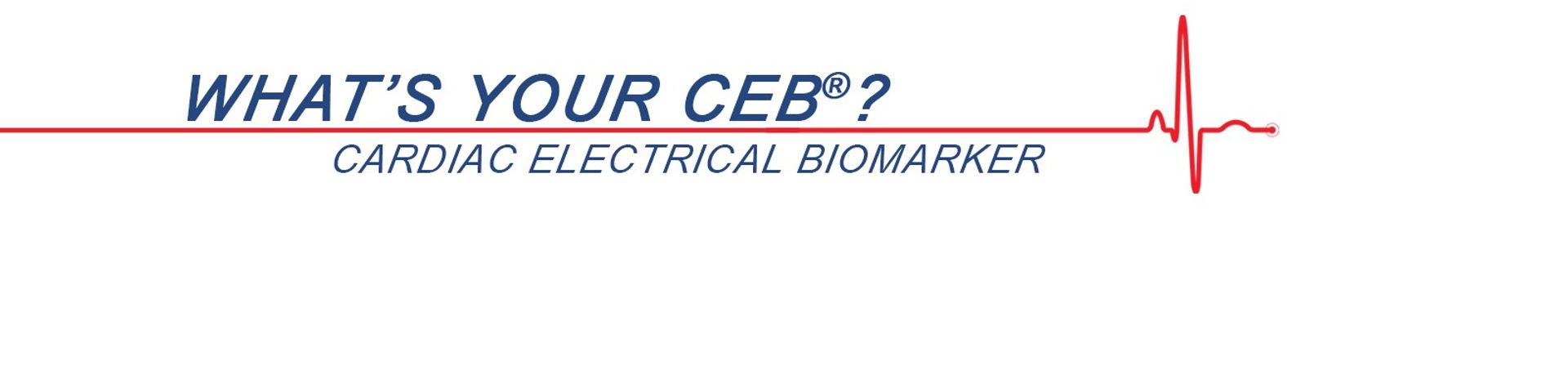 Vectracor - Universal - ECG Testing System By Vectracor