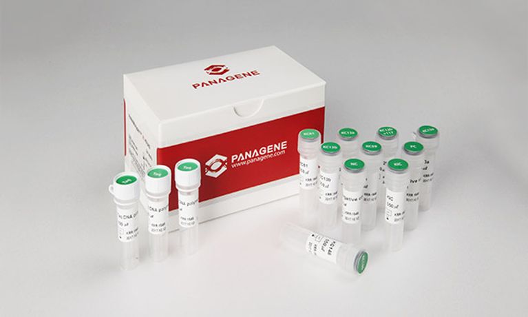 Panamutyper R - KRAS - Oncology - Liquid Biopsy - Panamutyper R - Oncology - Liquid Biopsy Kit ...
