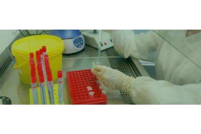 Hibergene LAMP And RT-LAMP Nucleic Acid Amplification Test (NAAT) Kit