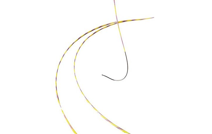 AGS - ERCP - Disposable Guide Wire By Hangzhou AGS Medtech Co., Ltd