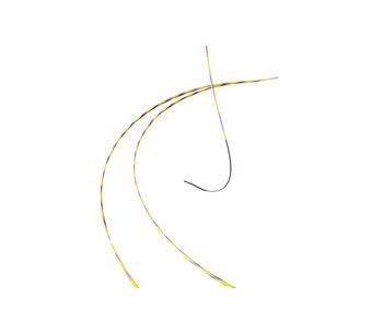 AGS - ERCP - Disposable Guide Wire By Hangzhou AGS Medtech Co., Ltd