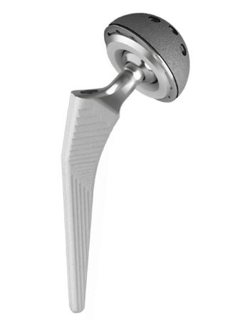 Libertas Cementless Uncemented Femoral Stem And Modular Femoral Head