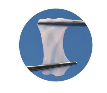 GEO Matrix & Umbilicord - Biologics And Tissue By Gramercy Extremity ...