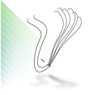 Artivion - Chord-X - Aortic Heart Valves - Pre-Measured Loops By ...