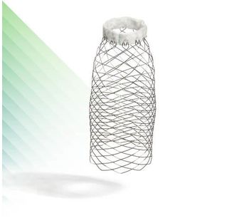 Artivion - AMDS - Thoracic Aorta Stent Graft Solutions