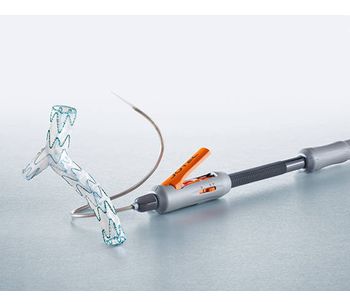 Artivion E-Liac Stent Graft System