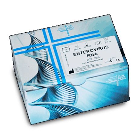 Trasplantation – PCR - Enterovirus RNA – PCR By Dia.Pro ...