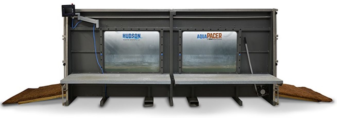 Aquapacer - Equine - Underwater Treadmill System By Hudson Aquatic ...