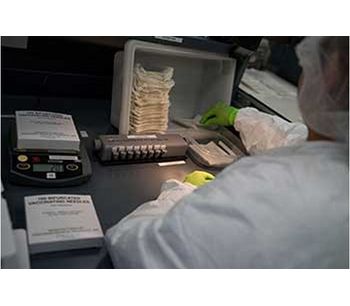 Sterile Bifurcated Needles For Allergy Testing