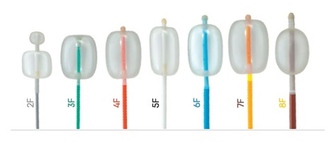 Prodimed Balloon Vascular Catheters For Arterial Embolectomy