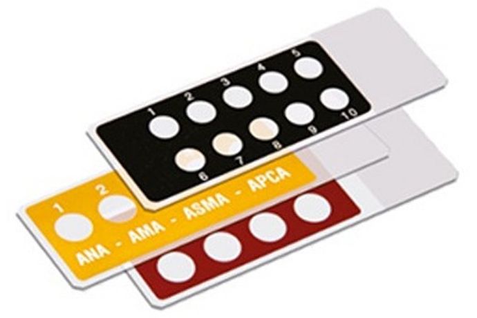 Immuno-Cell - Printed Diagnostic Slides (IFA) By Immuno-Cell ...