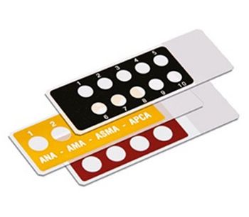 Immuno-Cell - Printed Diagnostic Slides (IFA) By Immuno-Cell ...