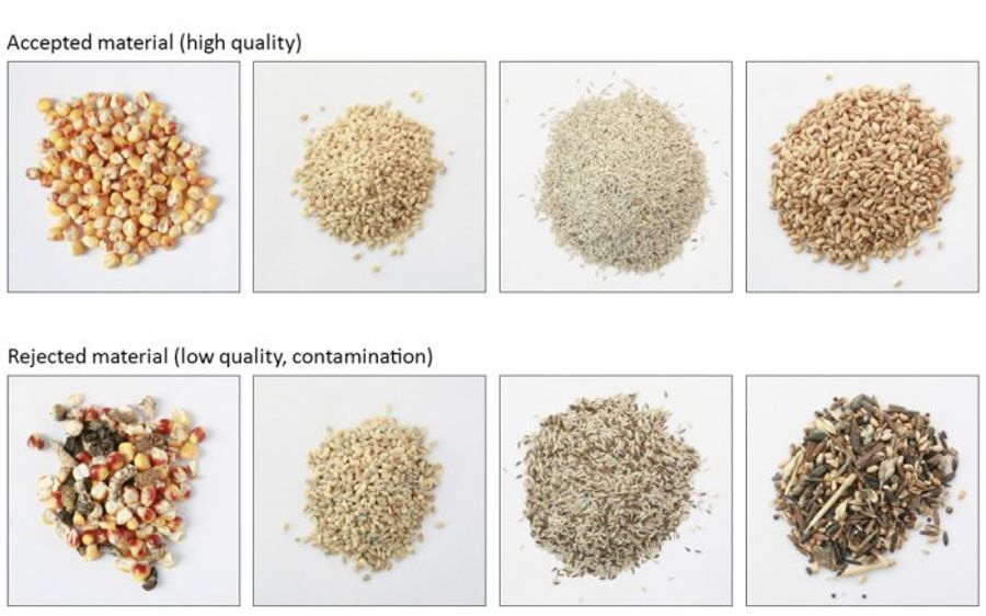 Sesotec - Sorting Systems - Food-Sorting Systems With Chute By Sesotec Gmbh