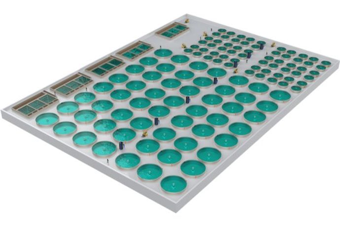 Ecoshrimp - Recirculating Aquaculture System (RAS) Technology ...