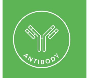 Antibody Platform By Vir Biotechnology, Inc.
