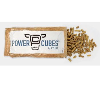 Powercubes High Protein Source Cubes