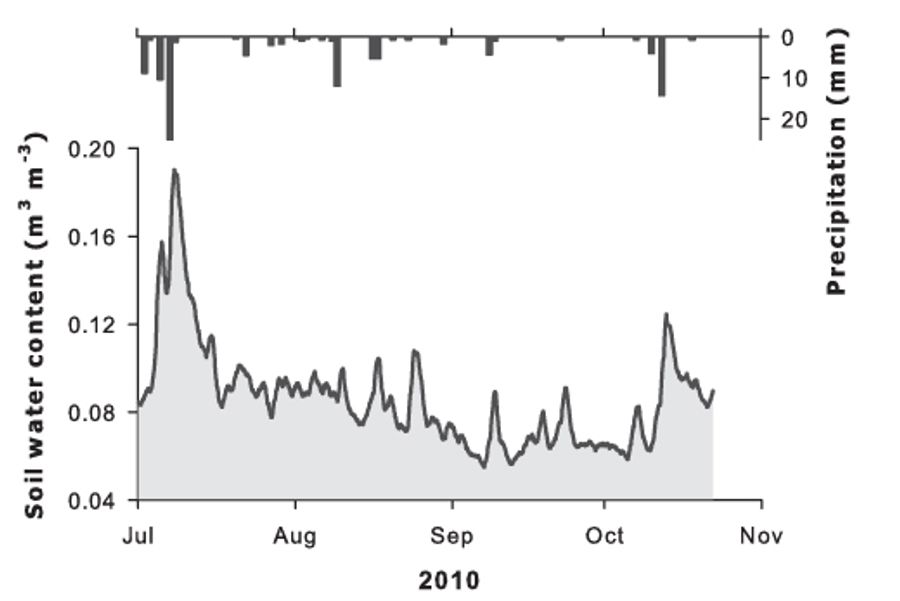 Hydroinnova CRS-1000/B Cosmic-Ray Probe