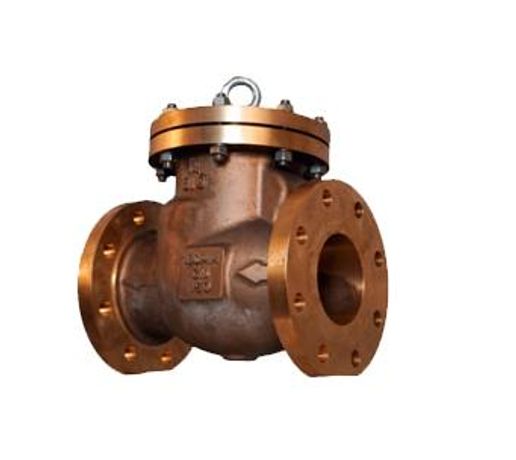Delta - Non Return Valve By Delta Valves Pvt. Ltd.
