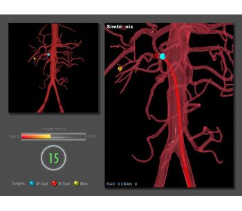 Simbionix - ANGIO Mentor - Endovascular Basic Skills Module ...