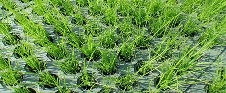 Revetmax Flexible Revetment Systems