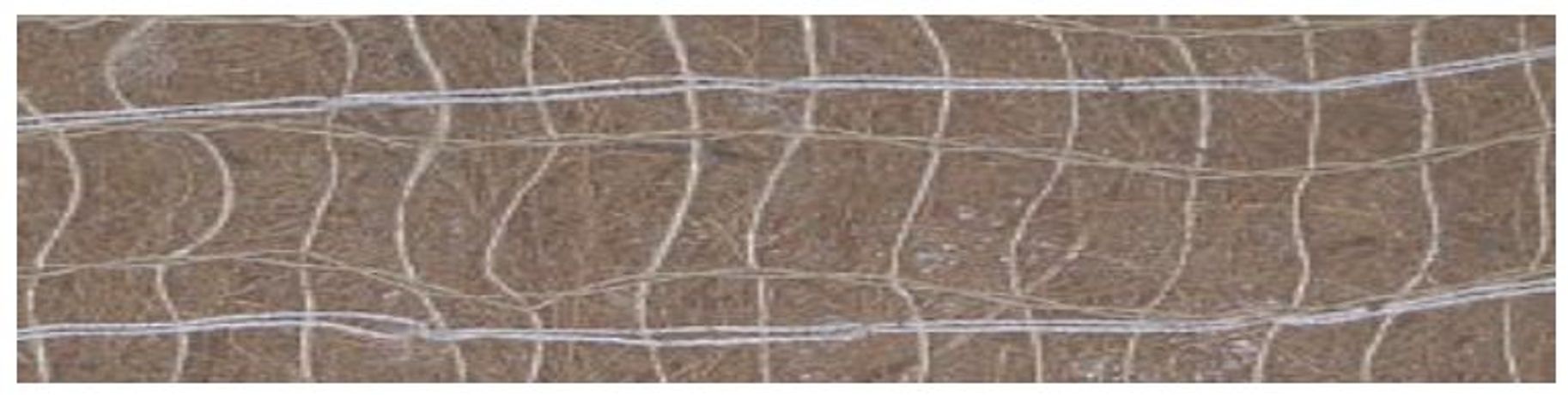 Bionet - C125BN - Bionet Biodegradable Erosion Control Blankets ...