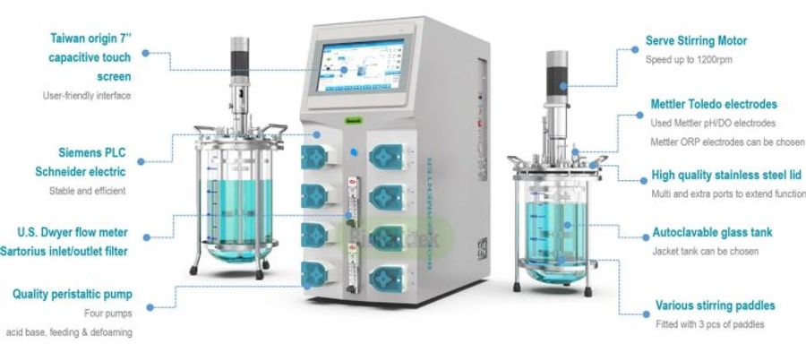 Bioreactek - BIOF-D Series - Glass Bioreactor - Dual-Tank Bioreactor ...