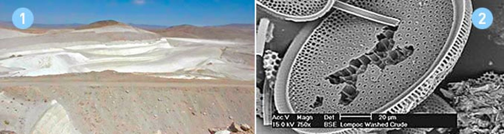 Filtration Aids - Celite Diatomaceous Earth Filter Aids By ...