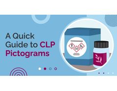 A Quick Guide To CLP Pictograms | Environmental XPRT