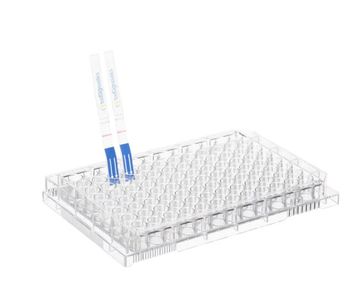 Human Igg Fc - Sample Analysis - Lateral Flow Dipstick Assay Kit By ...