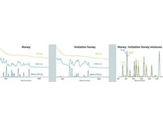 The Evolution Of Handheld 785 Nm Raman Spectroscopy: Raman Extraction ...