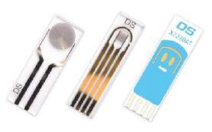 Screen-Printed And Interdigitated Electrodes