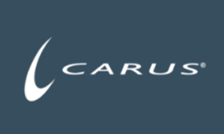 CARULITE 200 Granular Catalyst