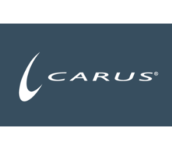 CARULITE 200 Granular Catalyst