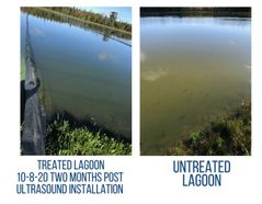Keeping A City’S Wastewater Treatment Lagoon Safe From Harmful Algae ...