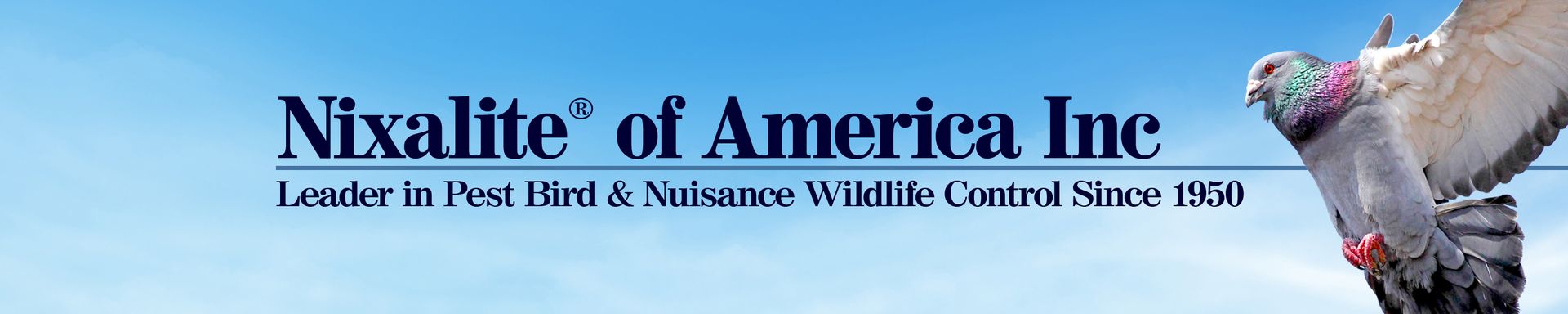 IGEBA Nebulo - Model ULV Series - Cold Foggers - Brochure ...