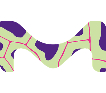 Supelco - Supelclean ENVI-Carb II/PSA SPE Tube By Merck ...