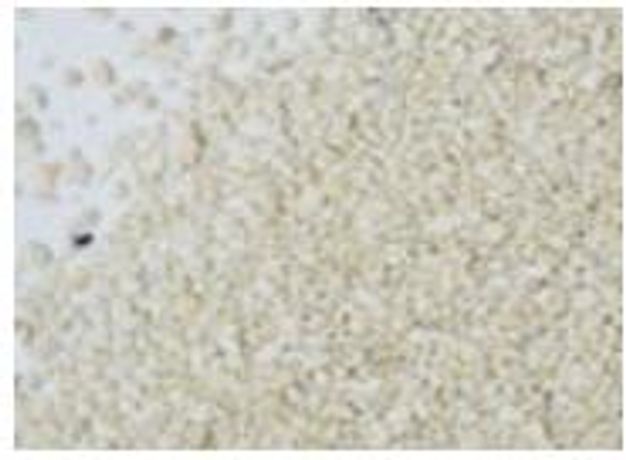 Zeolite - Filter Media - Crystalline Hydrated Aluminosilicate ...