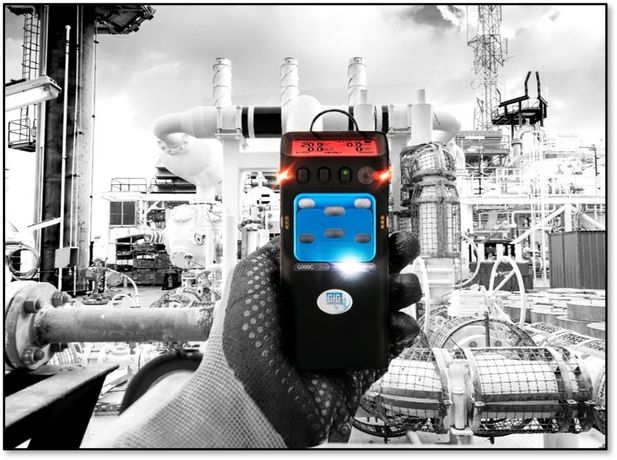 Gfg Instrumentation - G888 - Multi-Gas Monitor By Gfg ...
