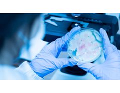 Lighthouse Activecount 100H Portable Microbial Sampler With HEPA ...