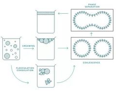 What Is An Emulsion Breaker?