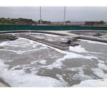 Aire-O2 Series 275 Wastewater Aspirator Aerator