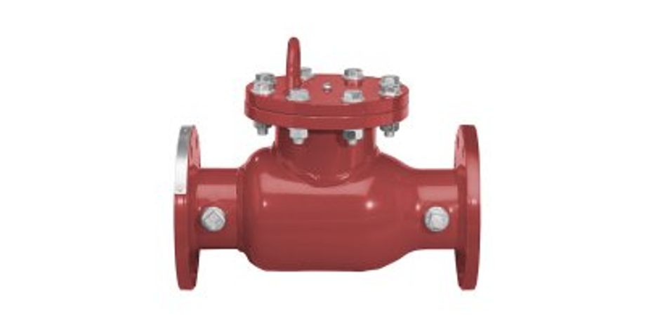 1000DCV Steel Detector Check Valves