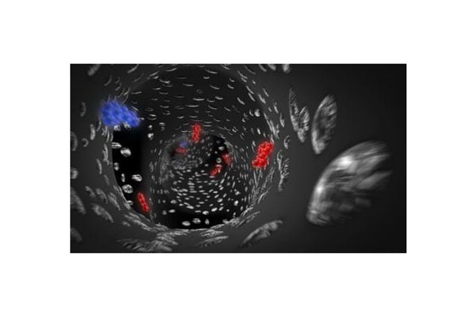 SARATECH Polymer Based Spherical Activated Carbon