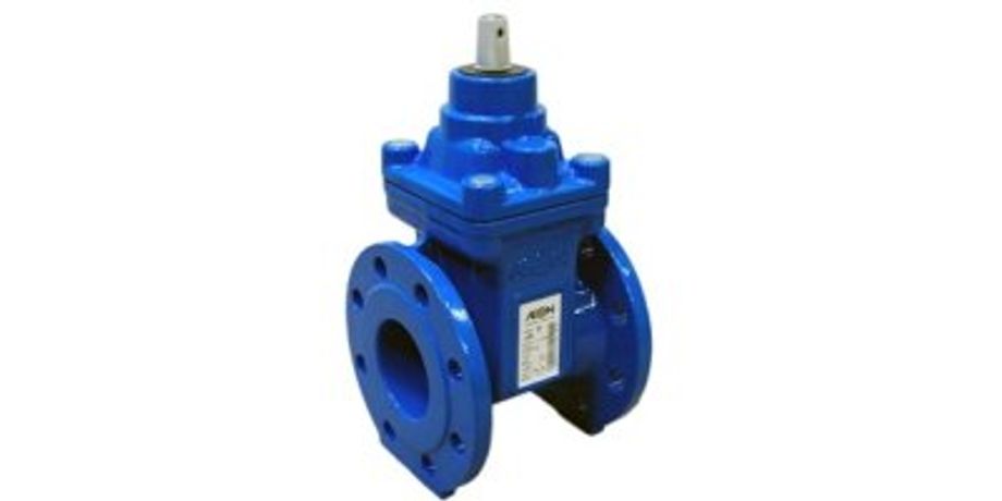 Aeon Type A DN40 – DN300 Resilient Seated Gate Valve